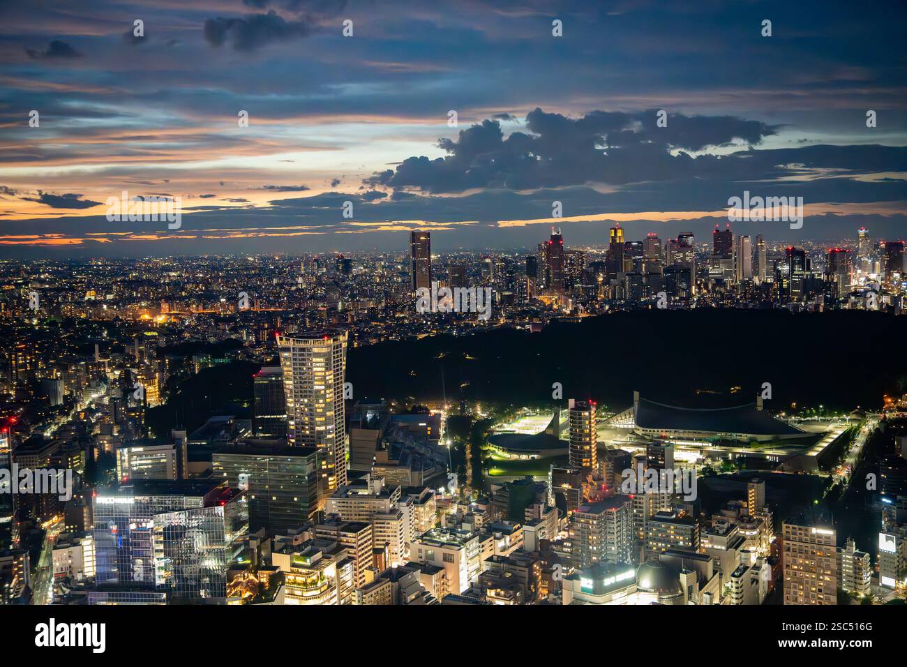 Views of Tokyo from Shibuya Sky rooftop at sunset, in Shibuya, Tokyo ...