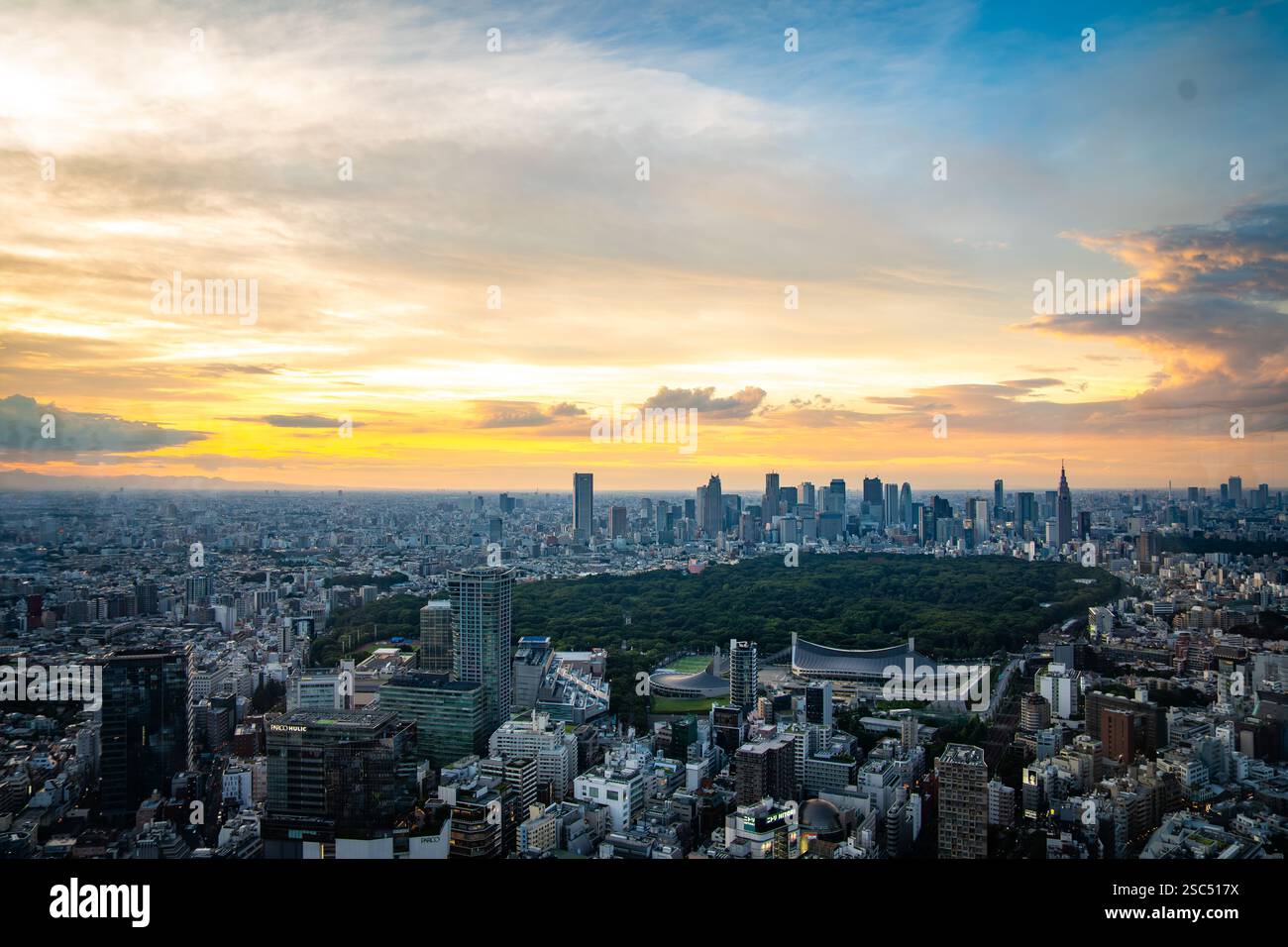 Views of Tokyo from Shibuya Sky rooftop at sunset, in Shibuya, Tokyo ...