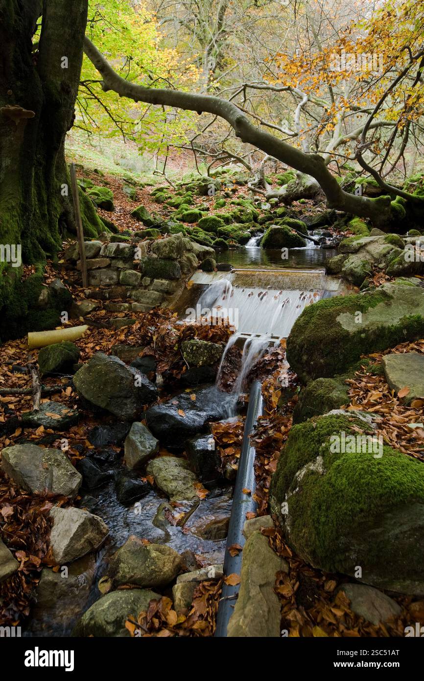 The site of Alan Williams' hydro scheme on his farm at Hendre Glyn ...