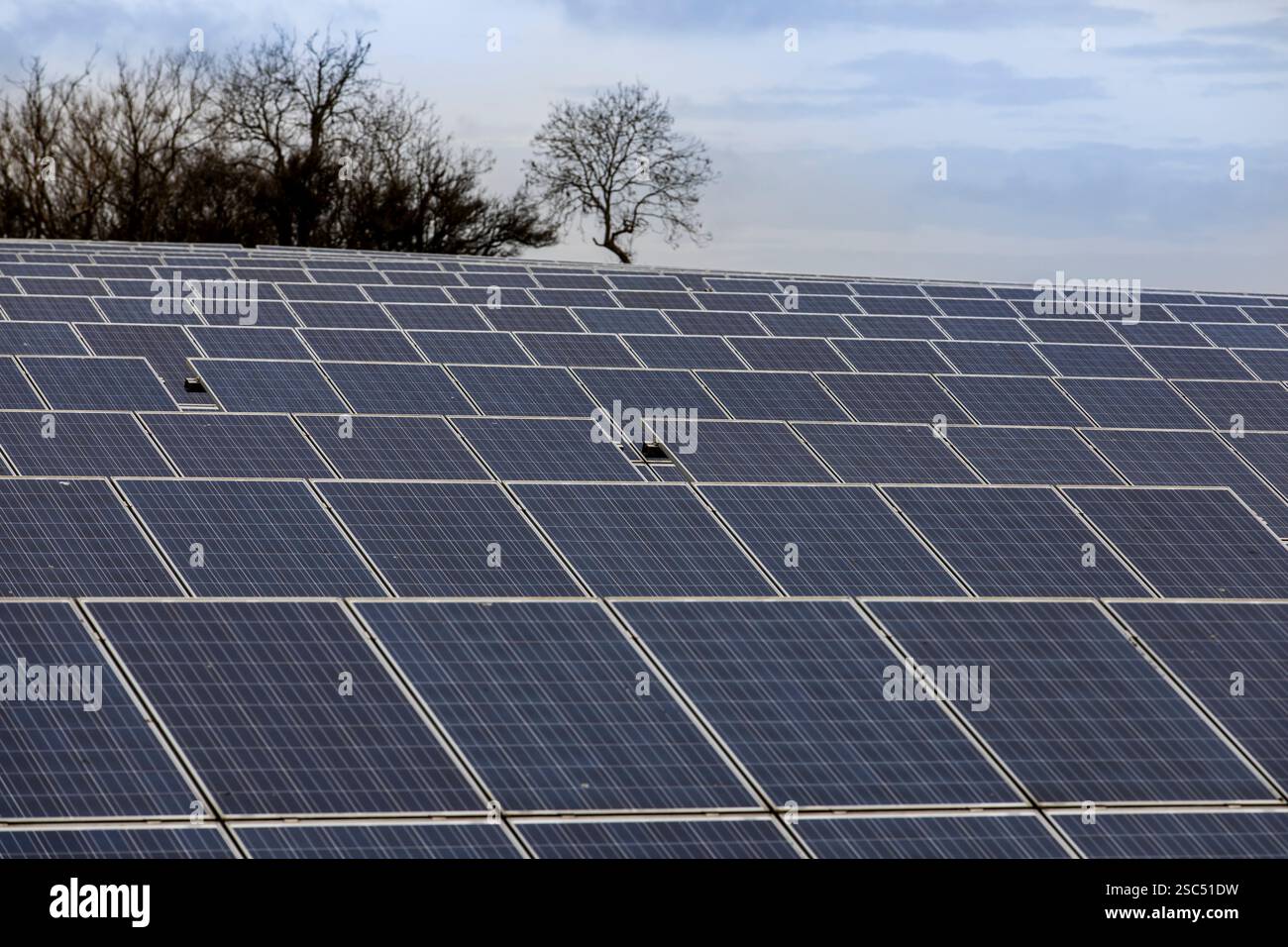 Energy independence with solar panels ,Solar panel lifespan, Renewable ...