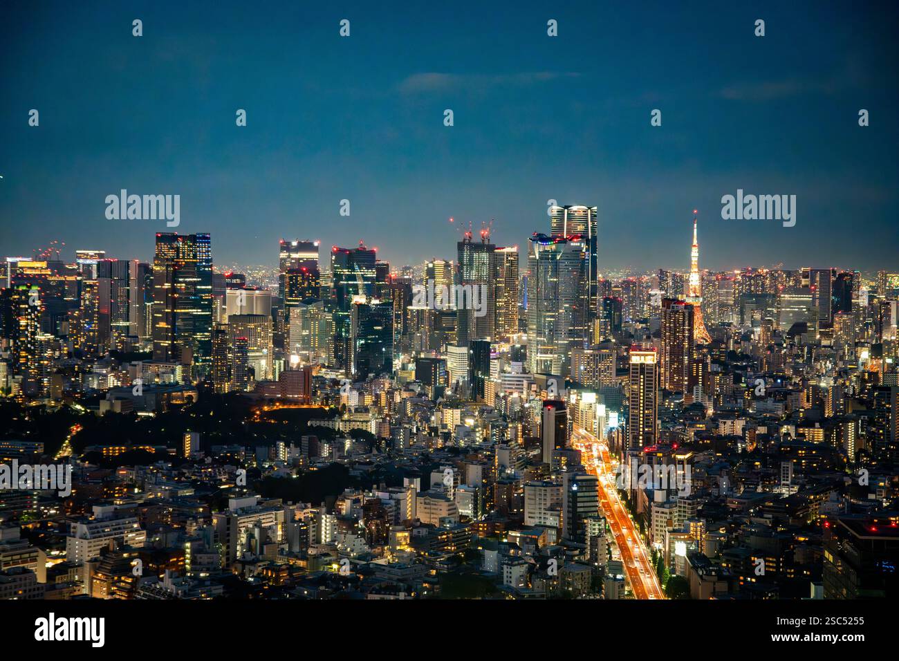 Views of Tokyo from Shibuya Sky rooftop at sunset, in Shibuya, Tokyo ...