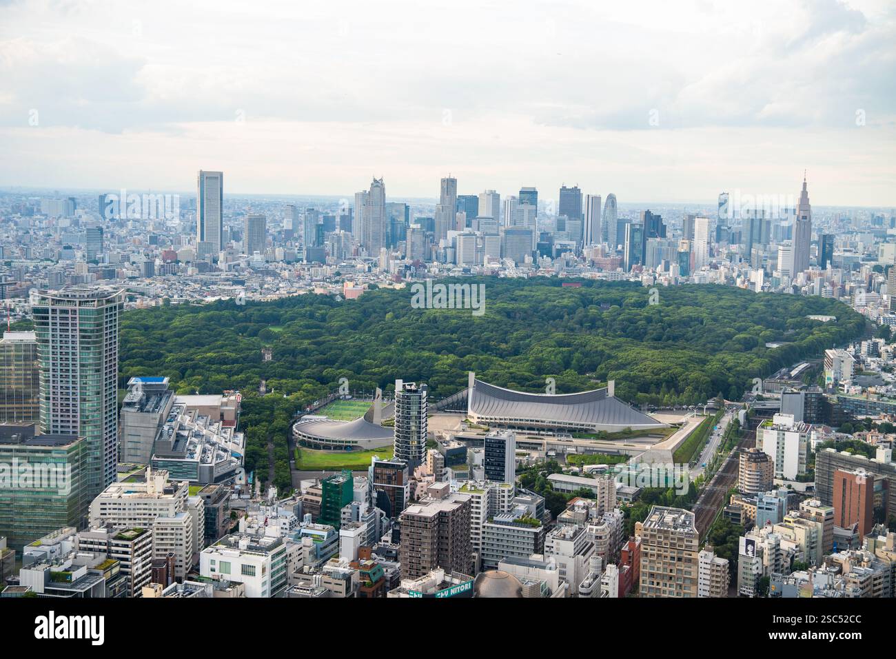 Views of Tokyo from Shibuya Sky rooftop at sunset, in Shibuya, Tokyo ...
