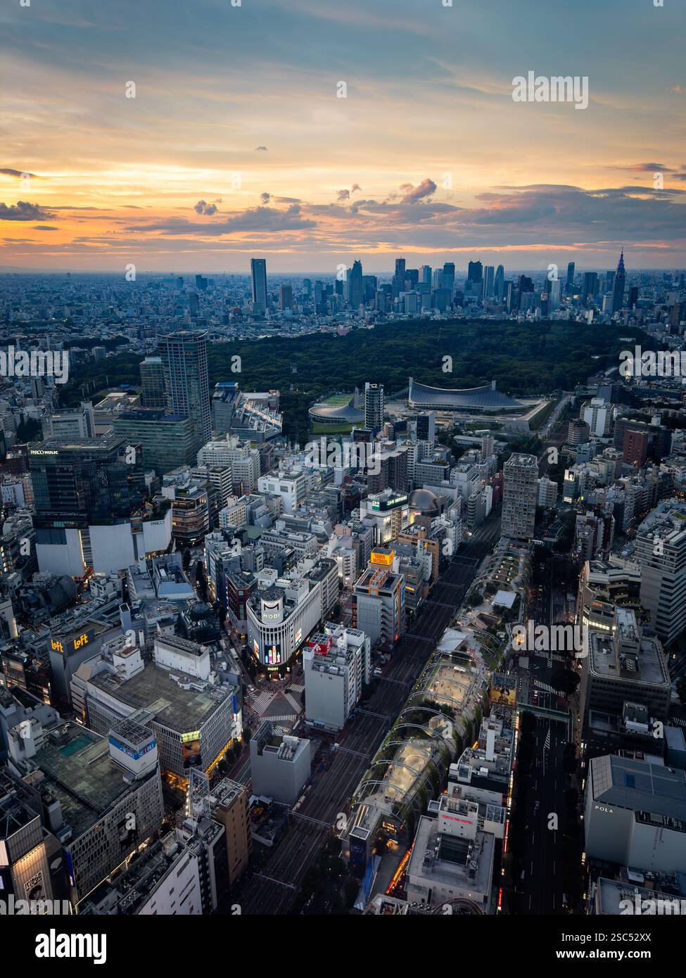 Views of Tokyo from Shibuya Sky rooftop at sunset, in Shibuya, Tokyo ...