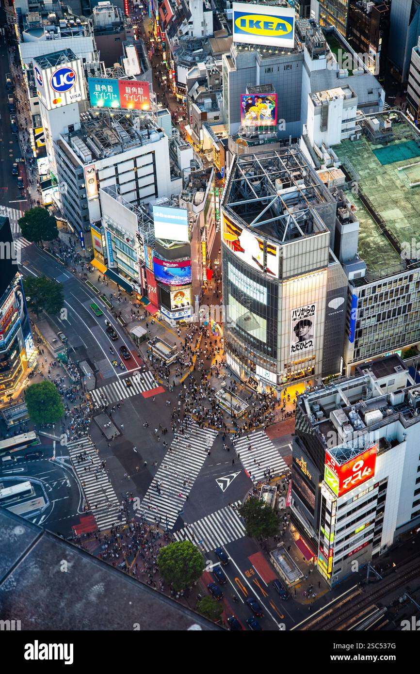 Views of Tokyo from Shibuya Sky rooftop at sunset, in Shibuya, Tokyo ...
