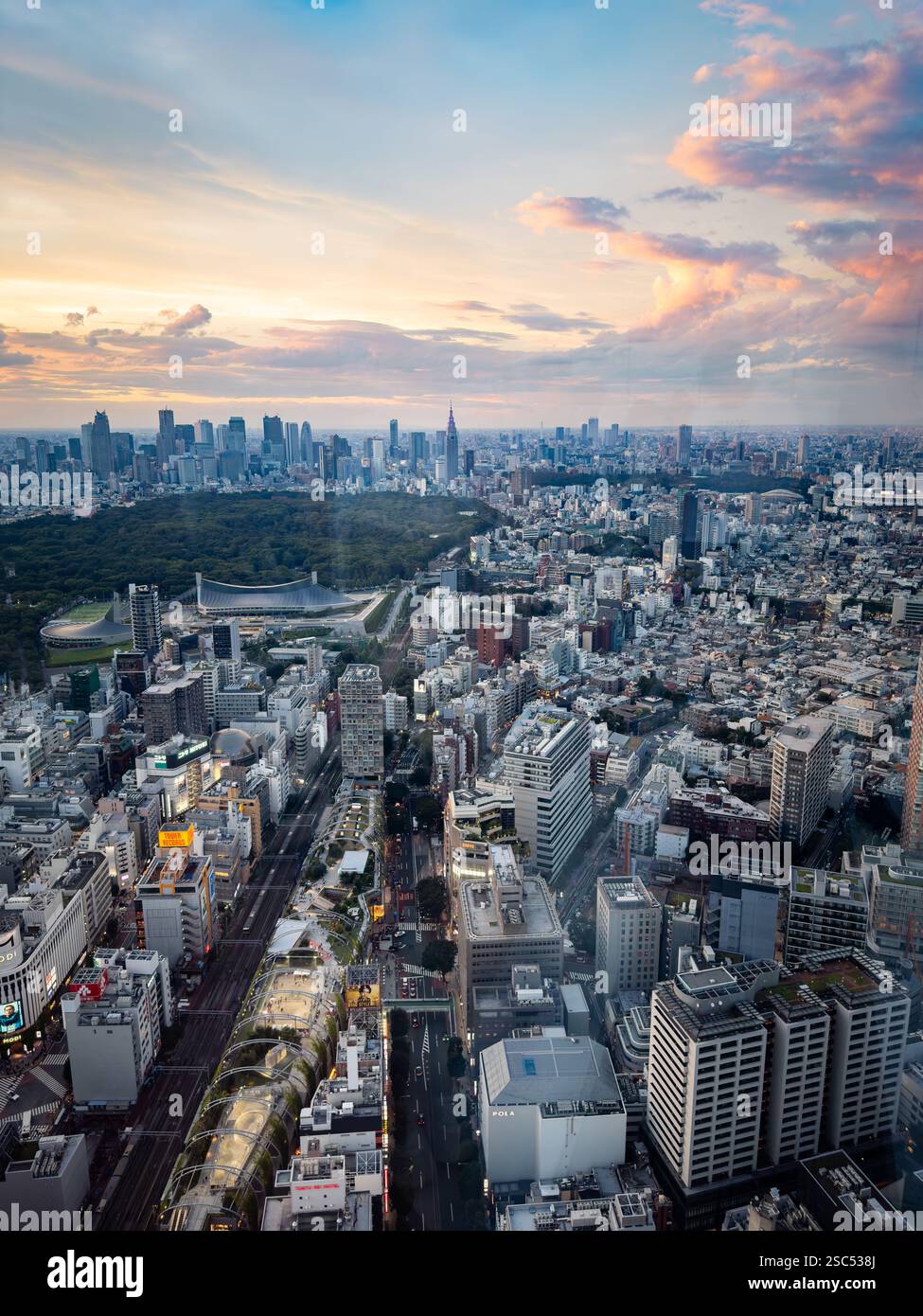 Views of Tokyo from Shibuya Sky rooftop at sunset, in Shibuya, Tokyo ...