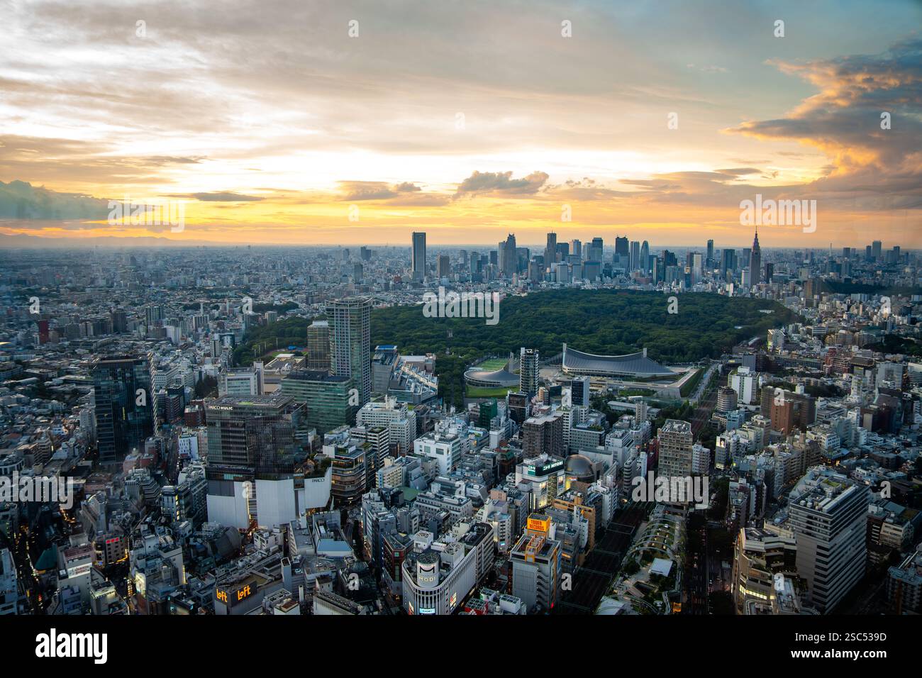 Views of Tokyo from Shibuya Sky rooftop at sunset, in Shibuya, Tokyo ...
