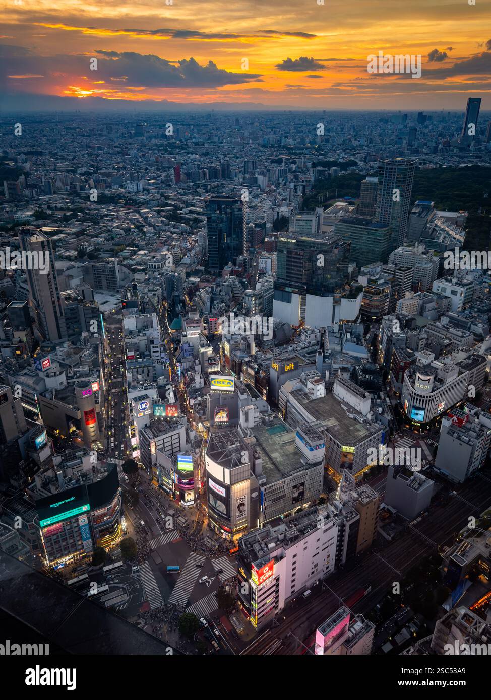 Views of Tokyo from Shibuya Sky rooftop at sunset, in Shibuya, Tokyo ...