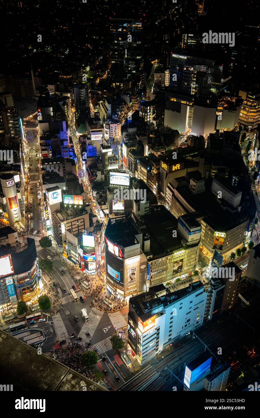 Views of Tokyo from Shibuya Sky rooftop at sunset, in Shibuya, Tokyo ...