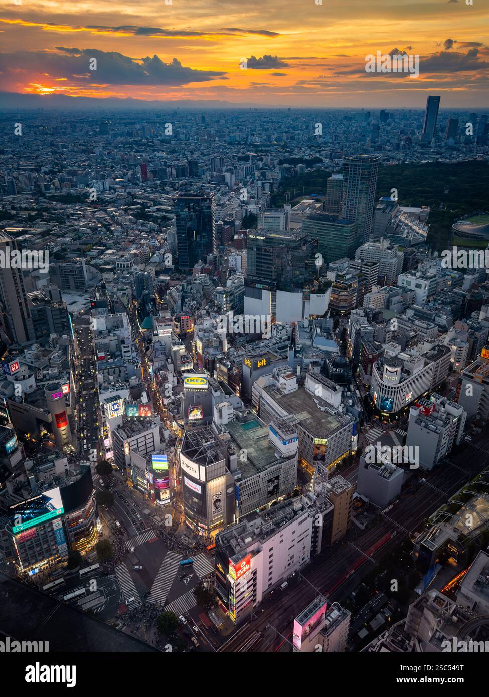 Views of Tokyo from Shibuya Sky rooftop at sunset, in Shibuya, Tokyo ...
