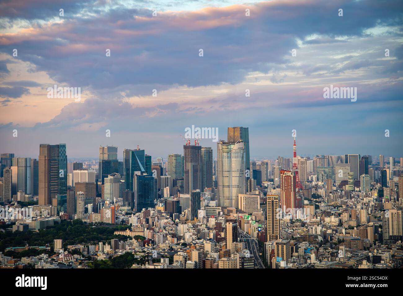 Views of Tokyo from Shibuya Sky rooftop at sunset, in Shibuya, Tokyo ...