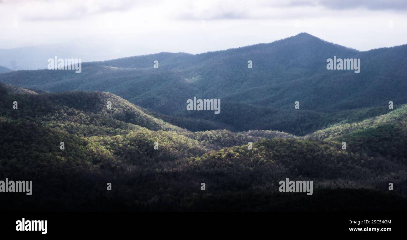 A breathtaking view of rolling mountains bathed in soft, misty light ...