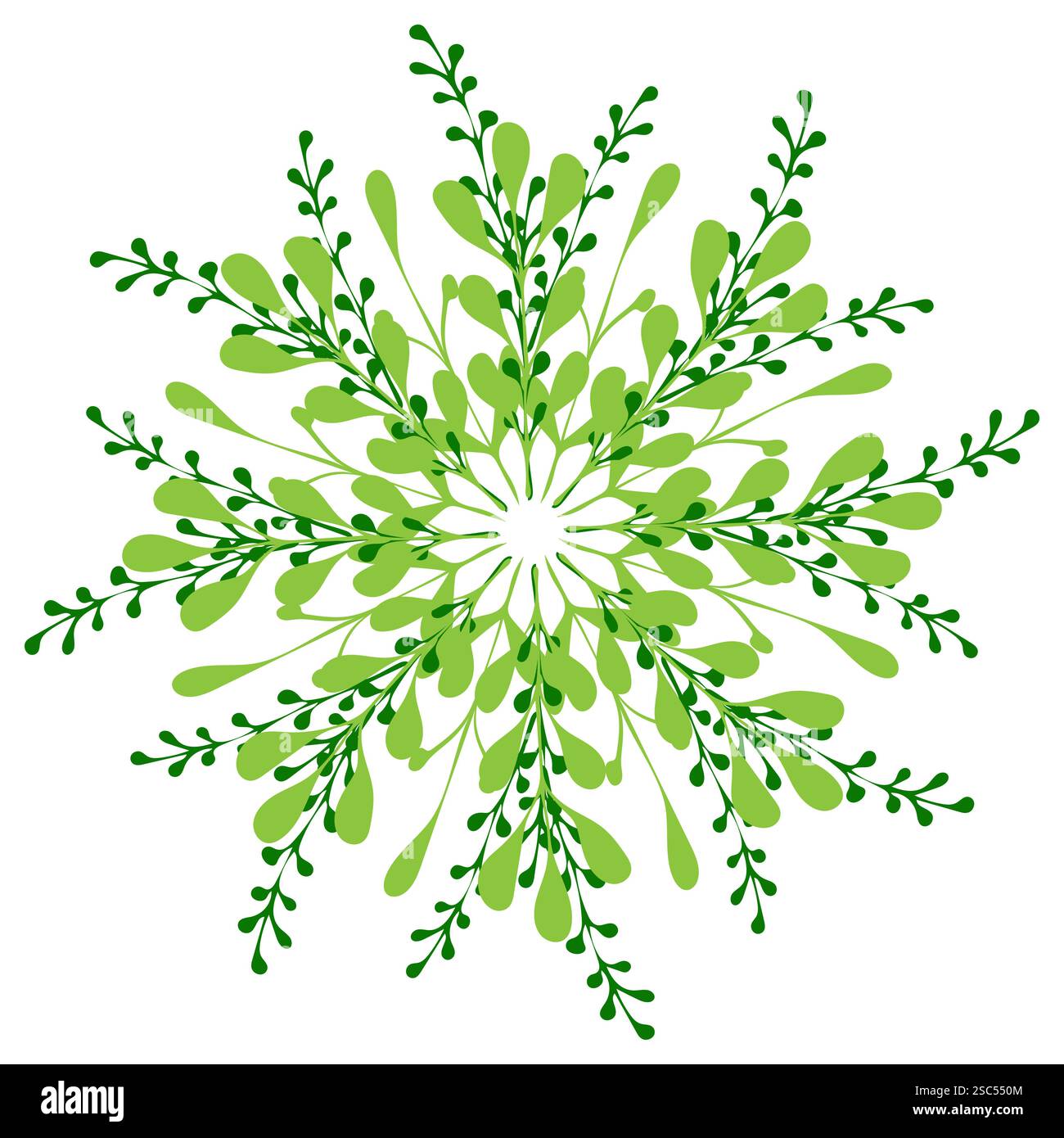 Intricate arrangement of delicate Cut Out Stock Images & Pictures - Alamy