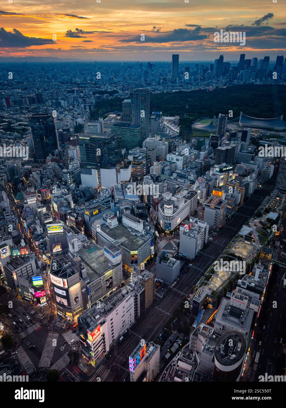 Views of Tokyo from Shibuya Sky rooftop at sunset, in Shibuya, Tokyo ...