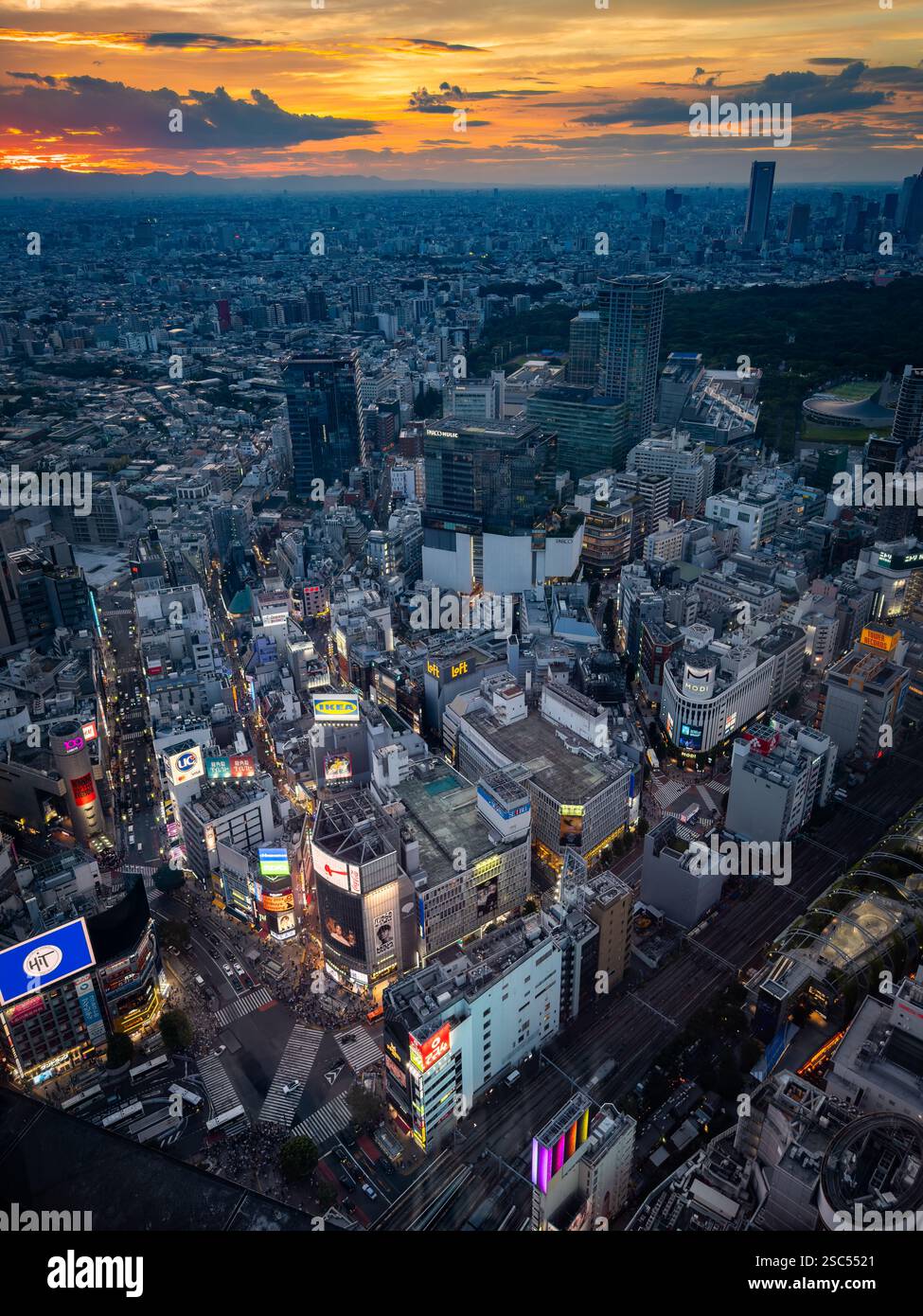 Views of Tokyo from Shibuya Sky rooftop at sunset, in Shibuya, Tokyo ...