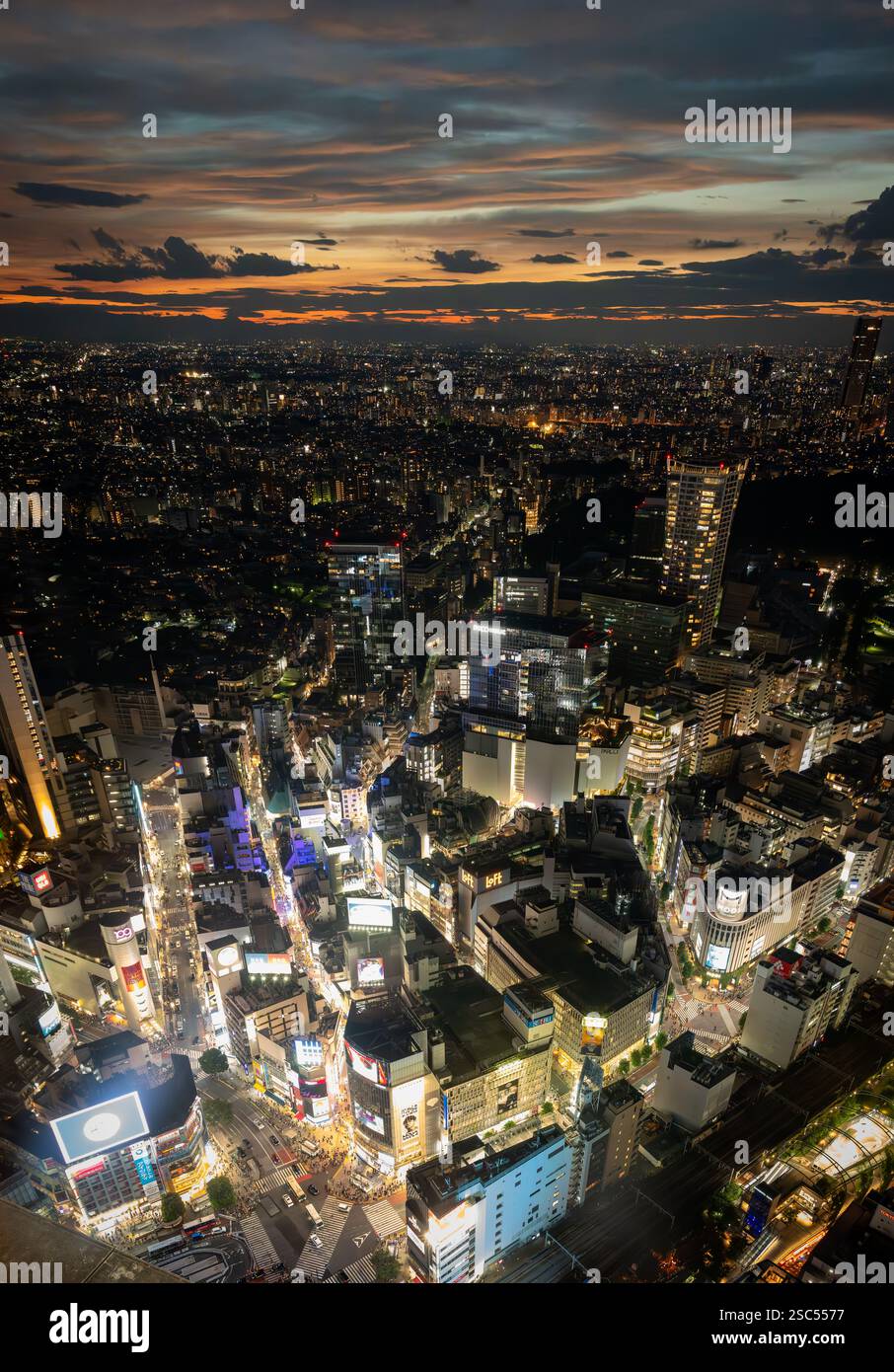Views of Tokyo from Shibuya Sky rooftop at sunset, in Shibuya, Tokyo ...