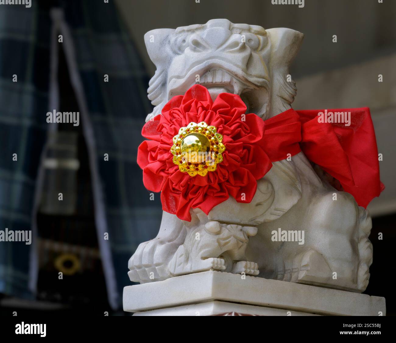 A traditional stone Chinese Lion, embellished with a bright red rosette ...