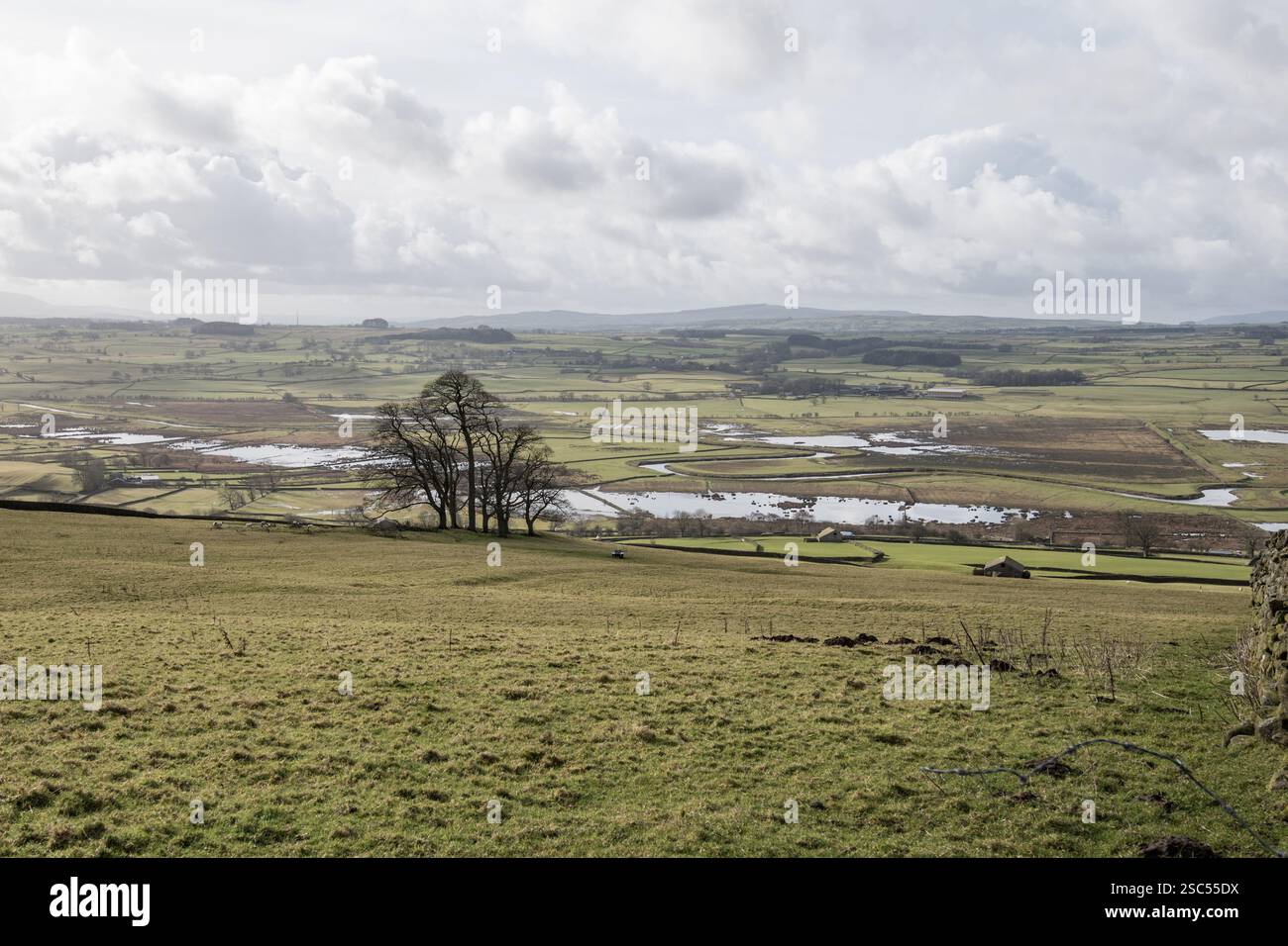 Landscape view of the River Ribble floodplain, looking across towards ...