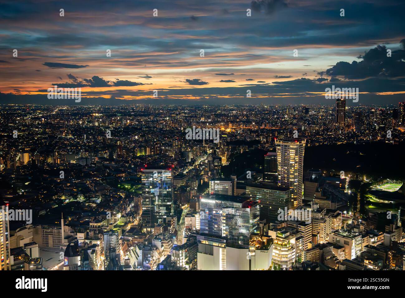Views of Tokyo from Shibuya Sky rooftop at sunset, in Shibuya, Tokyo ...