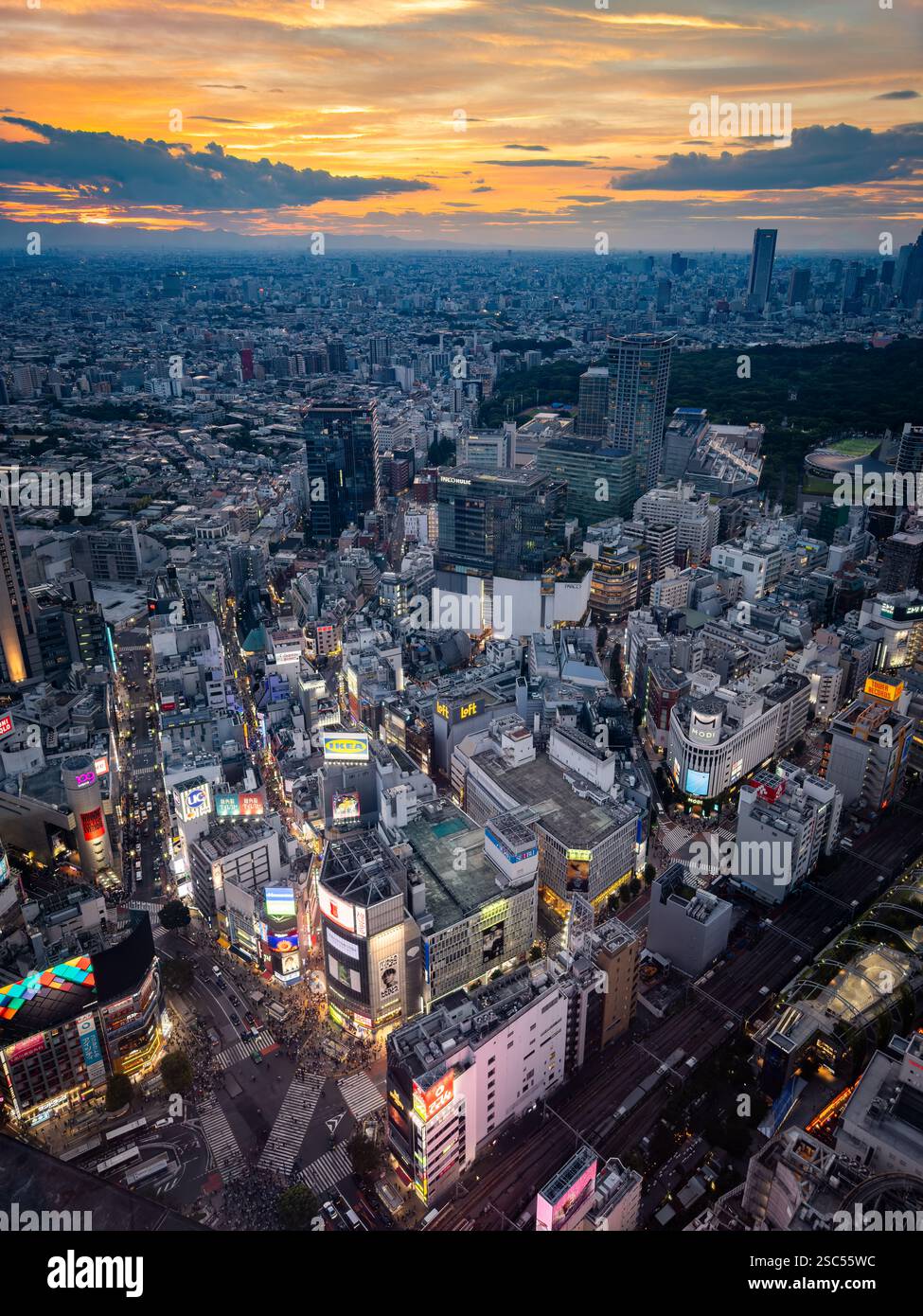 Views of Tokyo from Shibuya Sky rooftop at sunset, in Shibuya, Tokyo ...