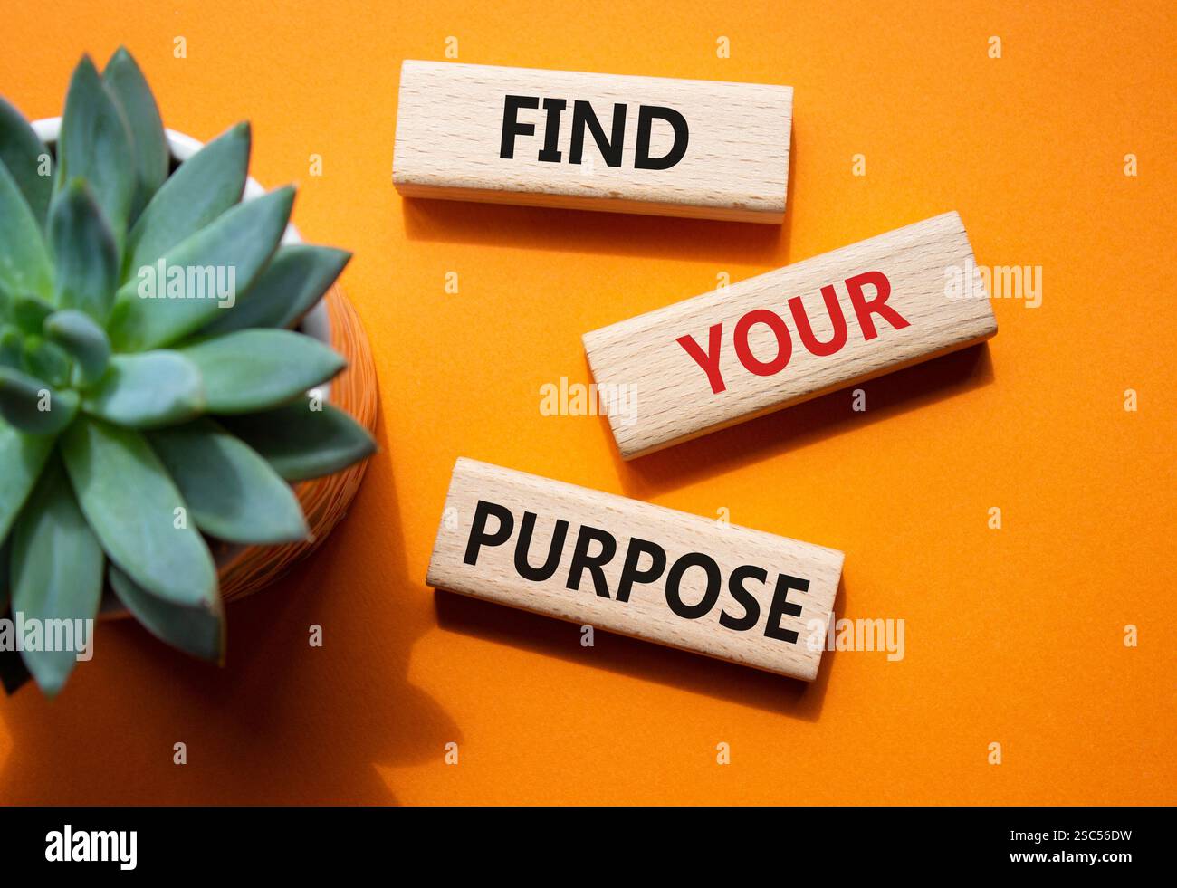 Find your Purpose symbol. Wooden blocks with words Find your Purpose ...