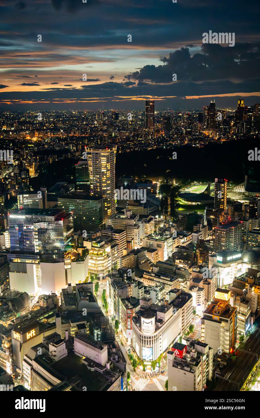Views of Tokyo from Shibuya Sky rooftop at sunset, in Shibuya, Tokyo ...