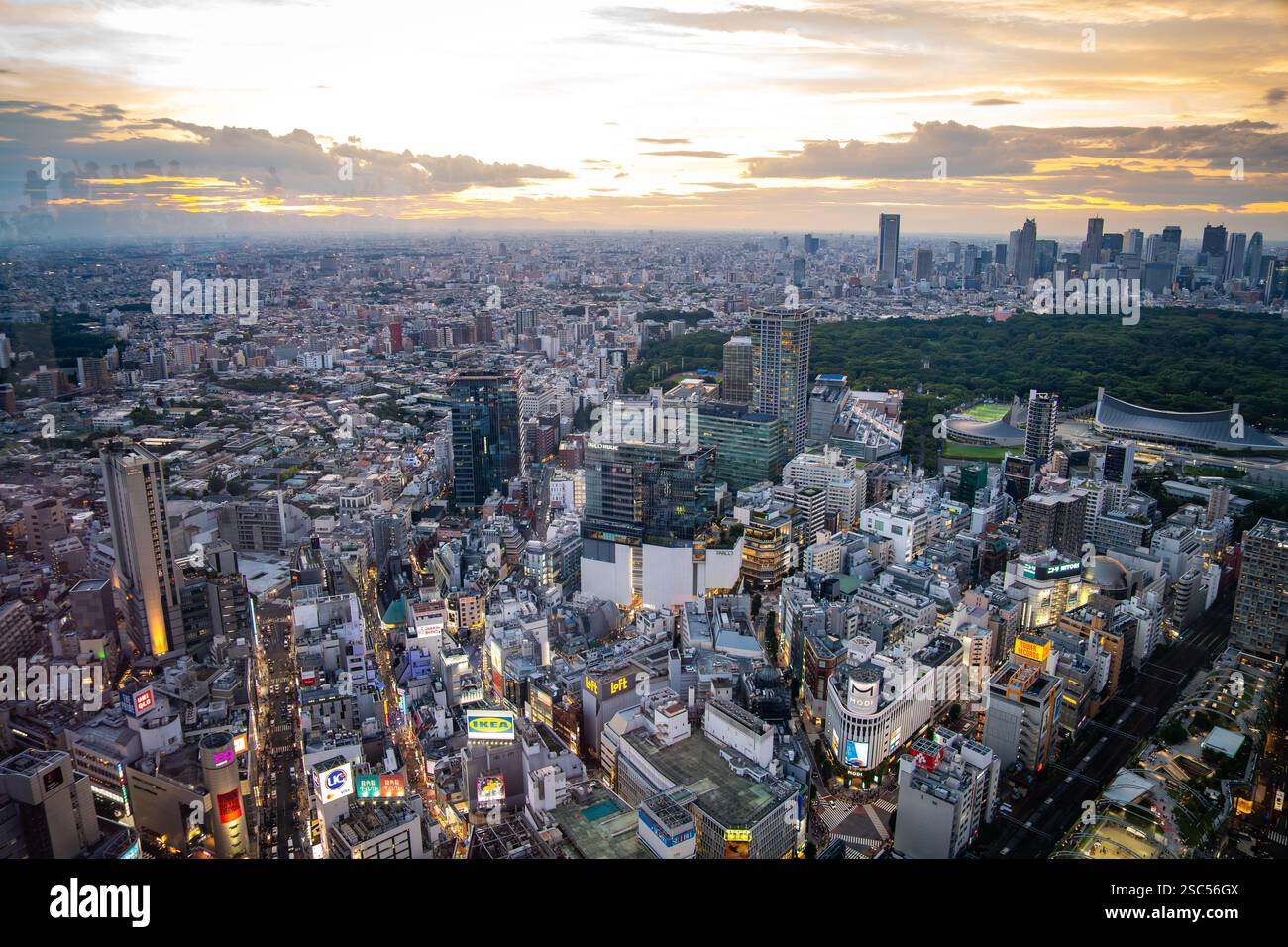 Views of Tokyo from Shibuya Sky rooftop at sunset, in Shibuya, Tokyo ...