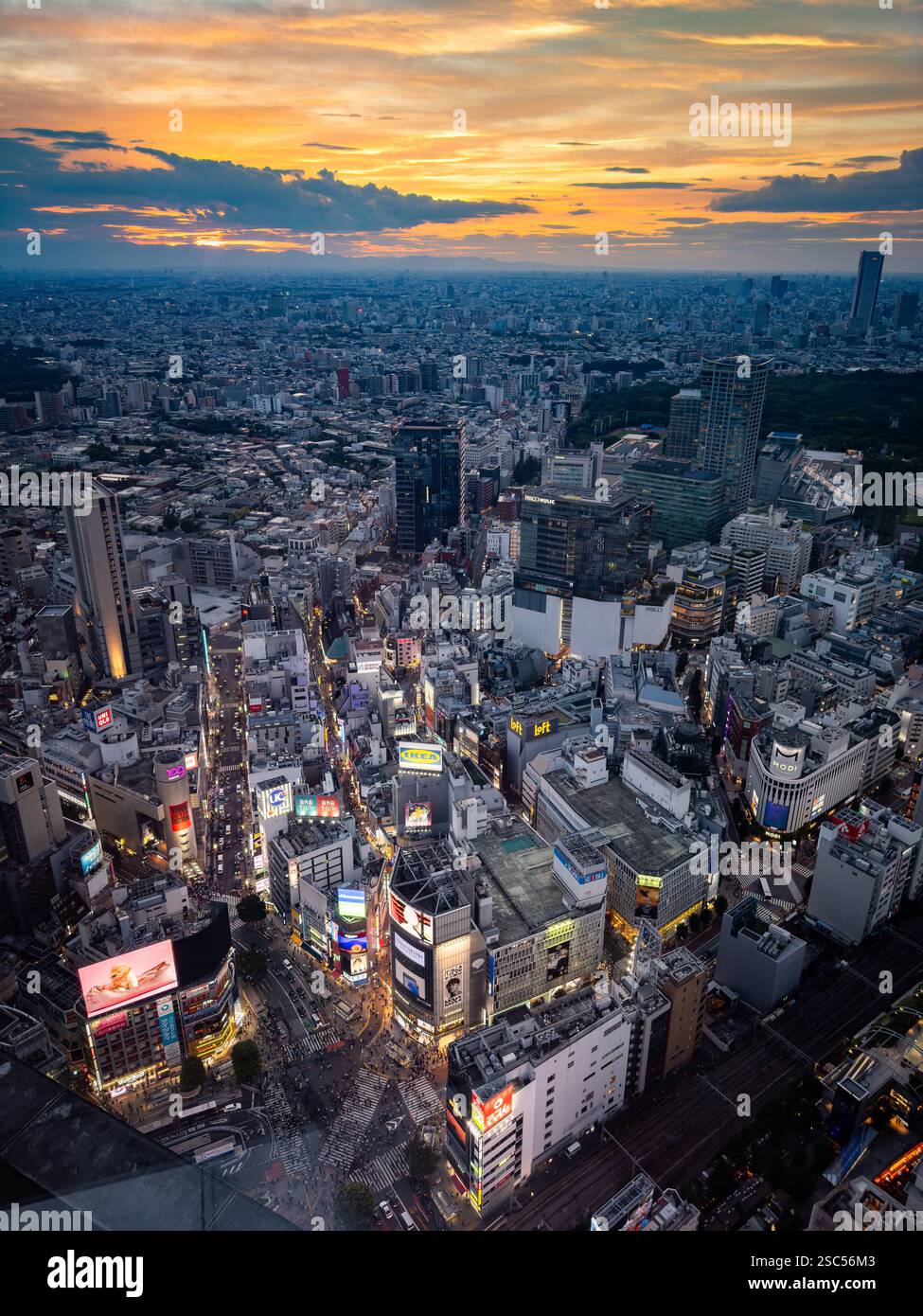 Views of Tokyo from Shibuya Sky rooftop at sunset, in Shibuya, Tokyo ...