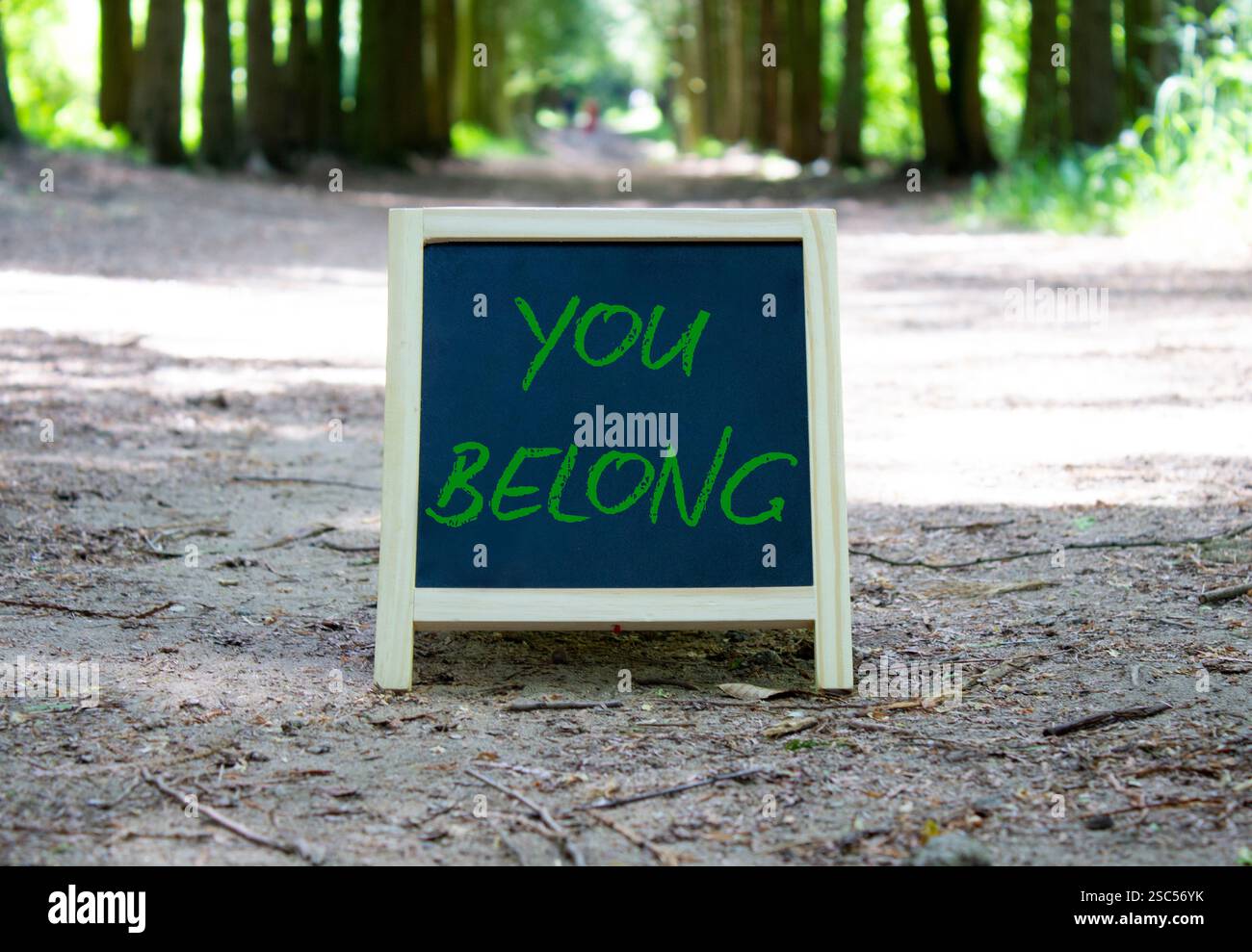You belong symbol. Blackboard with words You belong. Beautiful forest ...