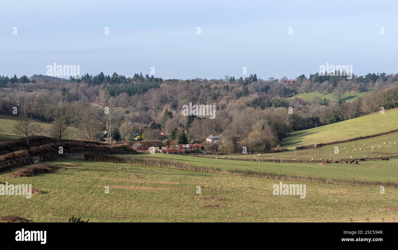 Winter view of fields and farmland from Hascombe Hill on the Greensand ...