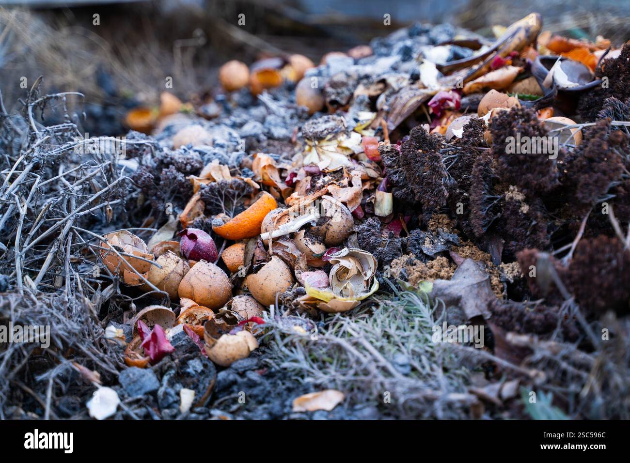 Compost heap in a suburban area with food waste and other organic ...