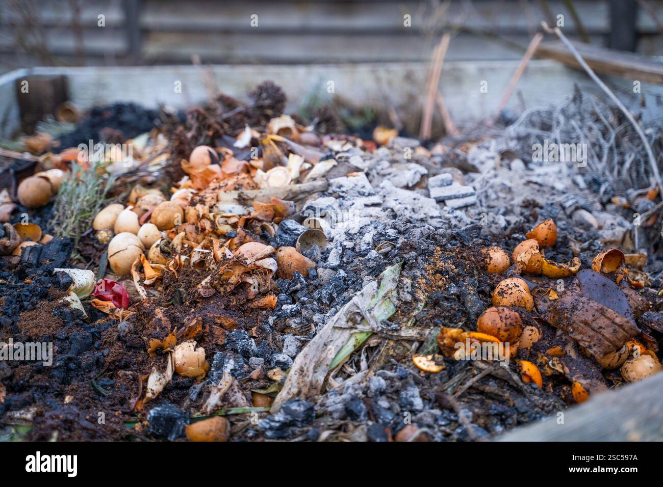 Compost heap in a suburban area with food waste and other organic ...