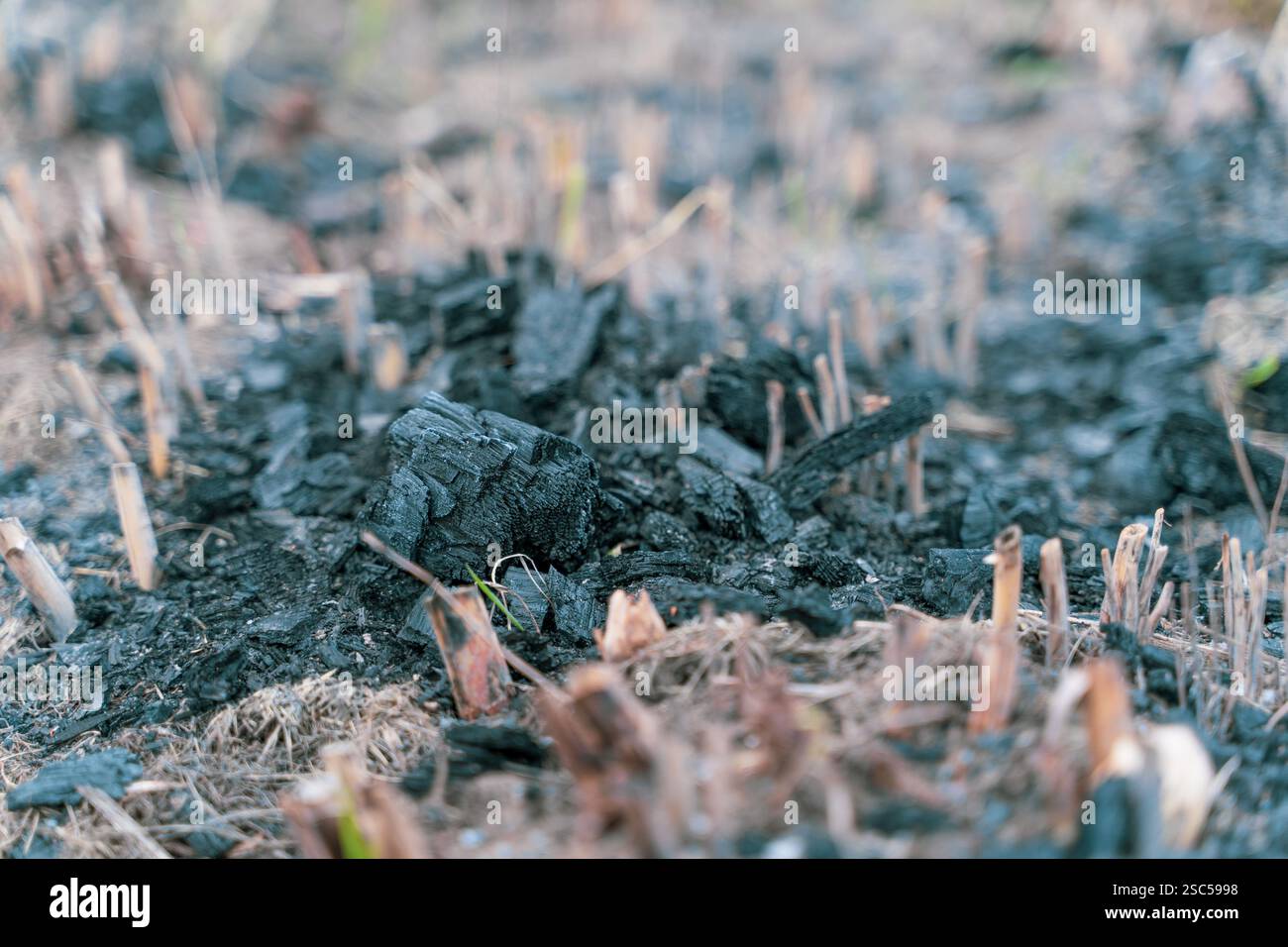 Fertilizing method hi-res stock photography and images - Alamy
