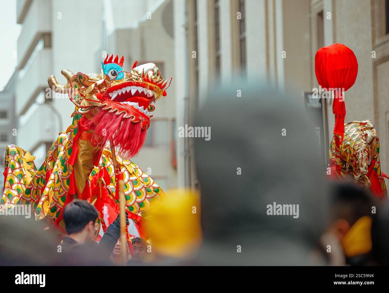 A dragon dance at the Lunar New Year Parade 2025 in Philadelphia ...