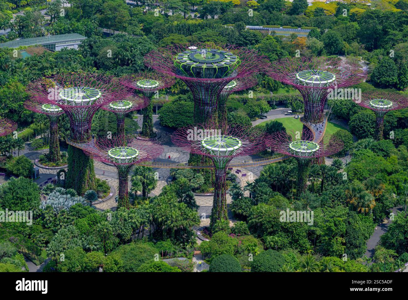 Rising up to 50 metres above ground, the iconic giant "trees" of ...