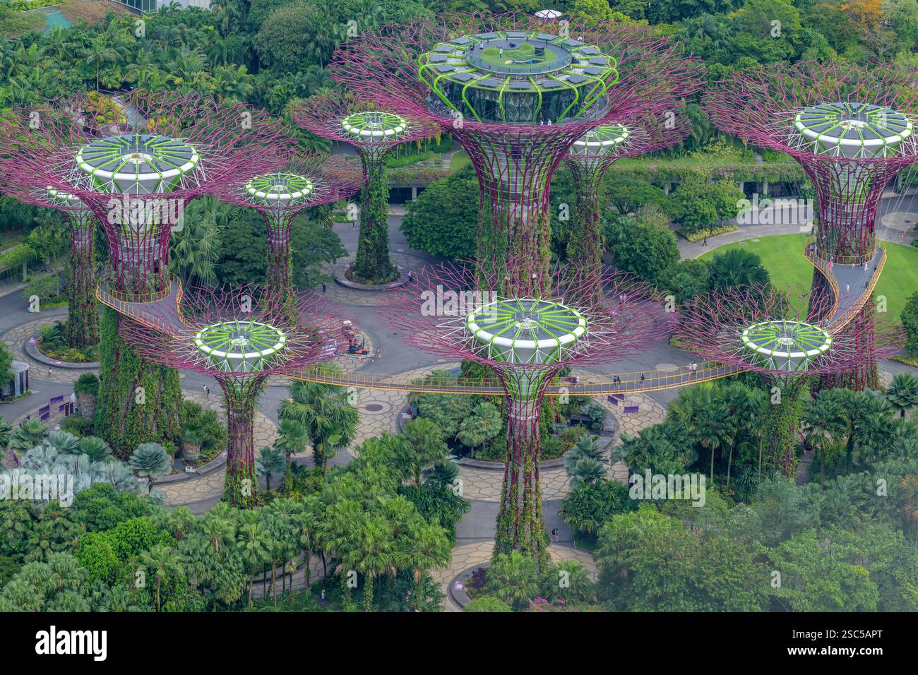 Rising up to 50 metres above ground, the iconic giant "trees" of ...