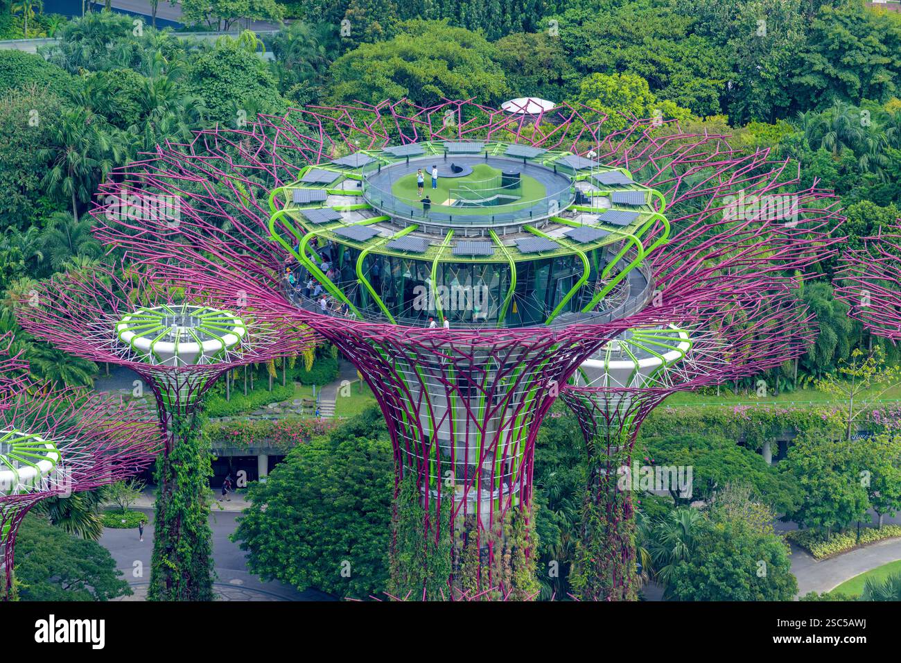 Rising up to 50 metres above ground, the iconic giant "trees" of ...