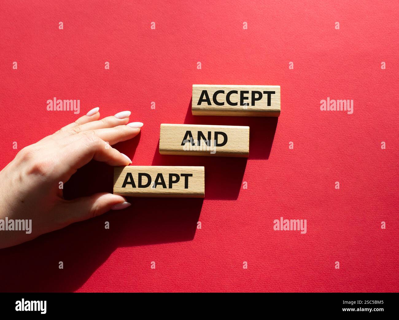 Accept or adapt symbol. Wooden blocks with words Accept and adapt ...