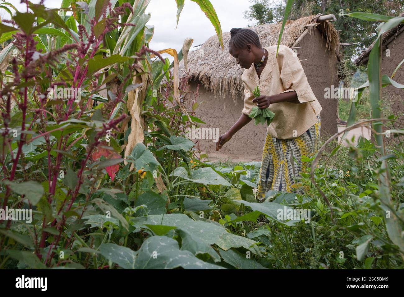 MAKEFU VILLAGE, IDODI DIVISION, IRINGA TANZANIA, May 2008: Barbarina ...