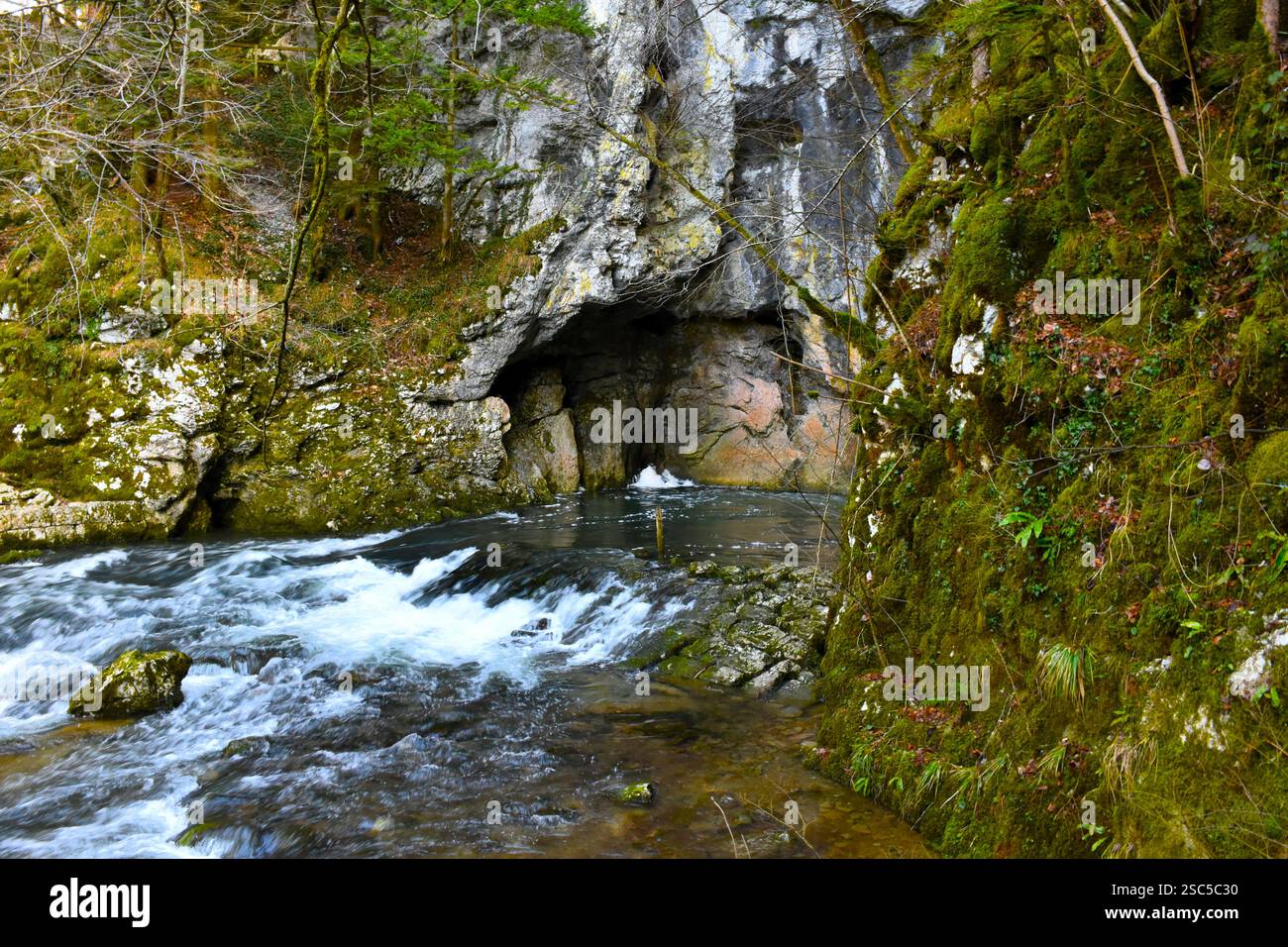 Rak river and a limestone rockwall in Rakov Škocjan nature park in ...