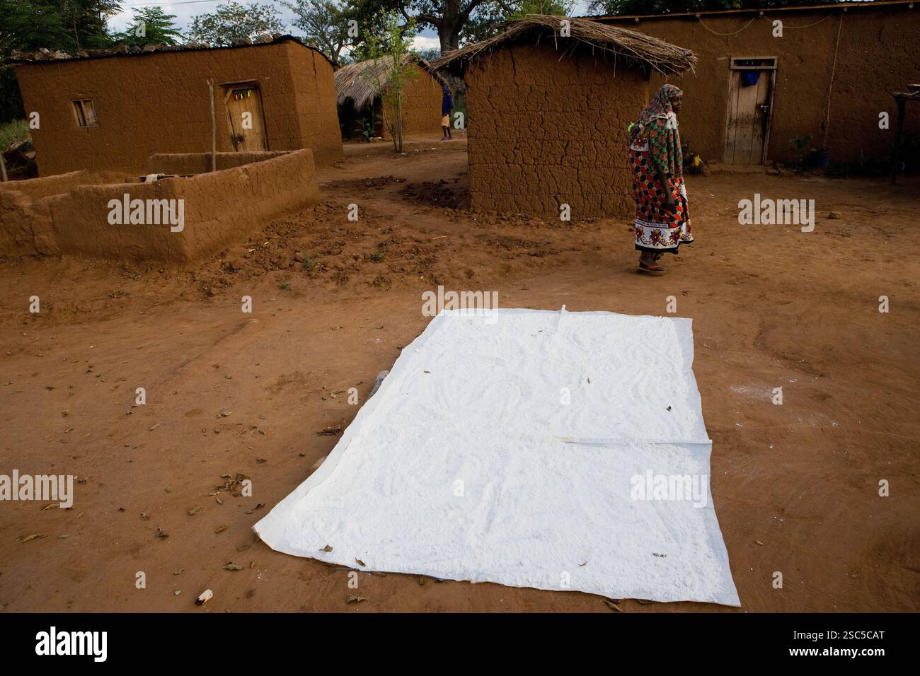 MGWELO VILLAGE, IDODI DIVISION, IRINGA, TANZANIA, May 2008: A young ...