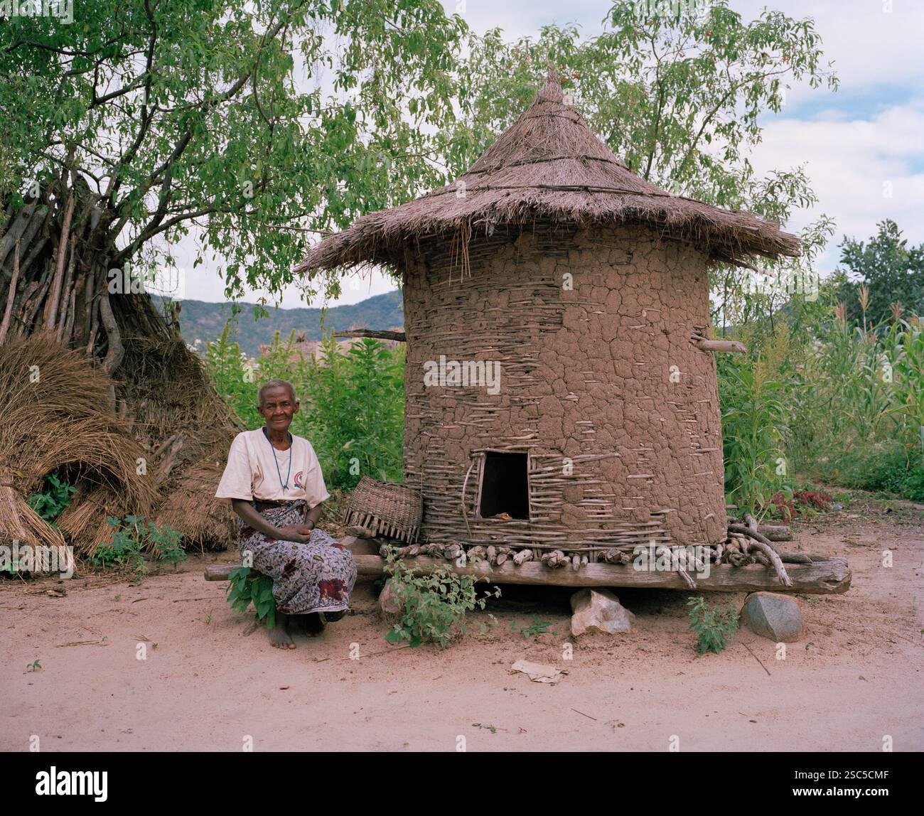 MAKEFU VILLAGE, IDODI DIVISION, IRINGA, TANZANIA, May 2008: Christina ...