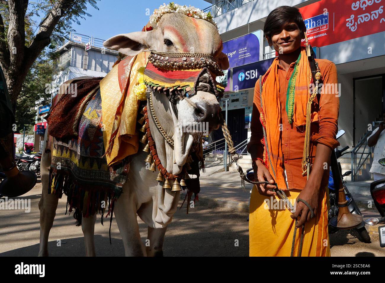 Sadhu with a holy cow in Mysuru (Mysore), Karnataka, India Stock Photo ...