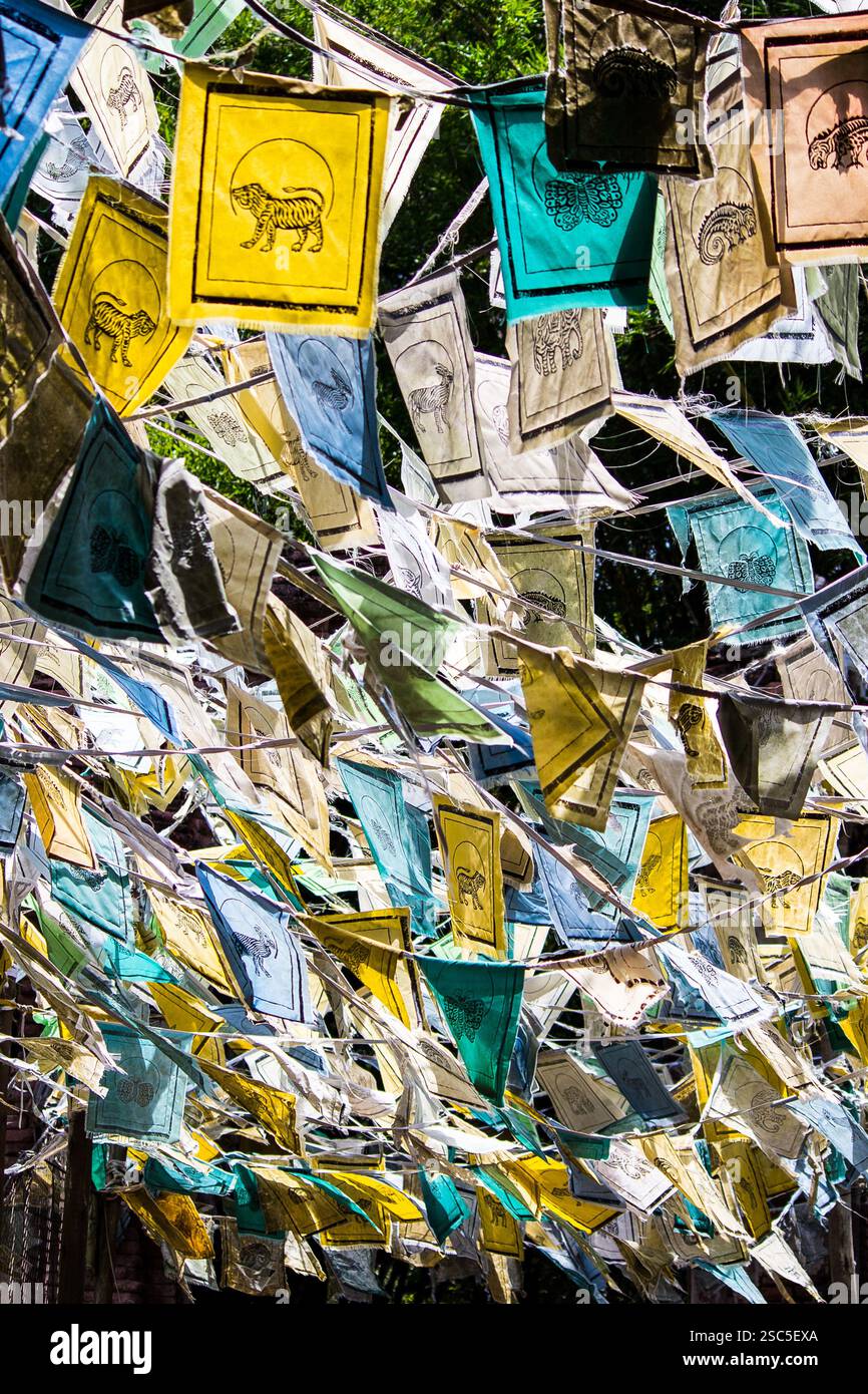 Numerous prayer flags, in various colors and patterns, hang from lines ...