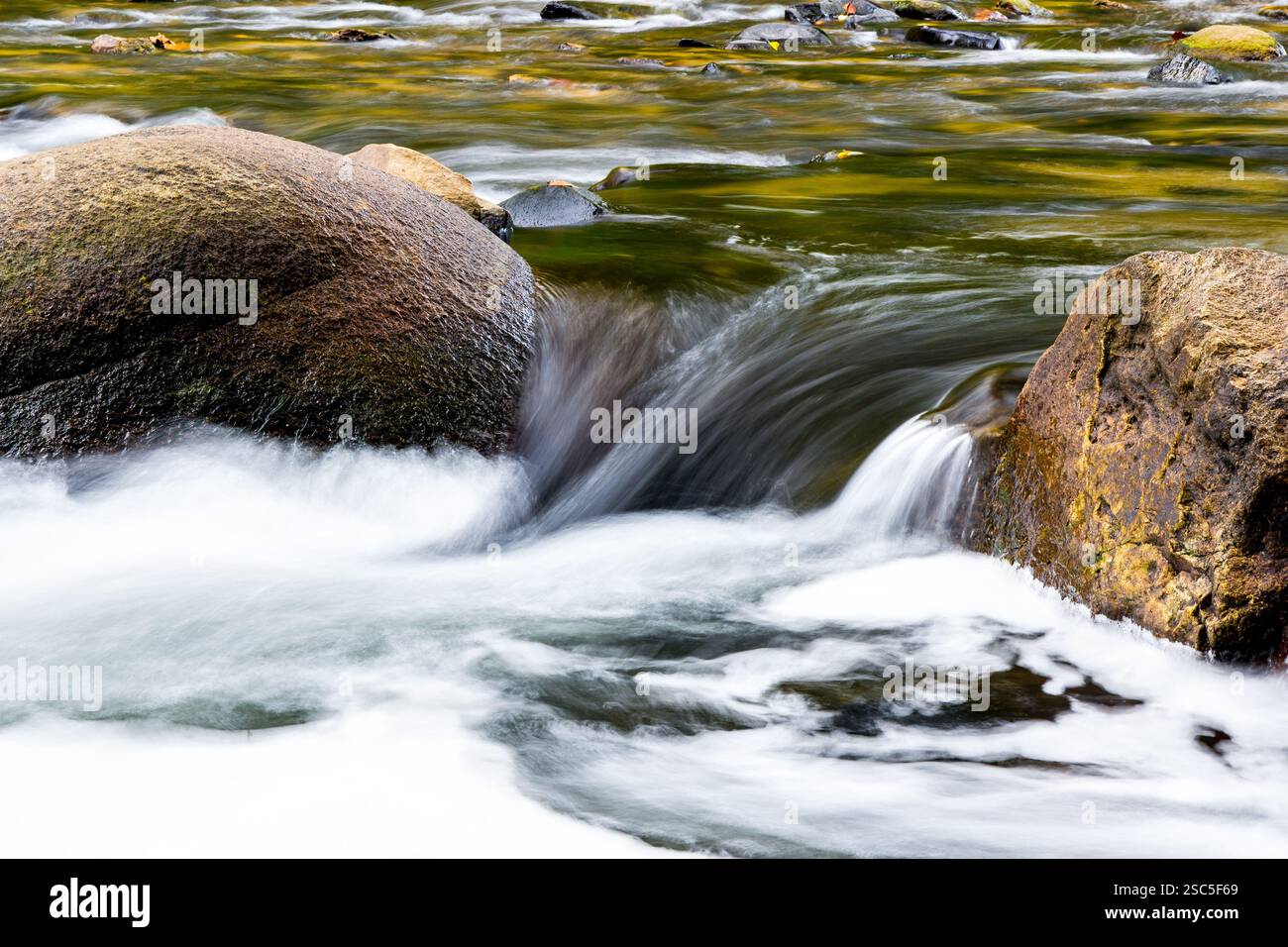 Stream water feature hi-res stock photography and images - Alamy