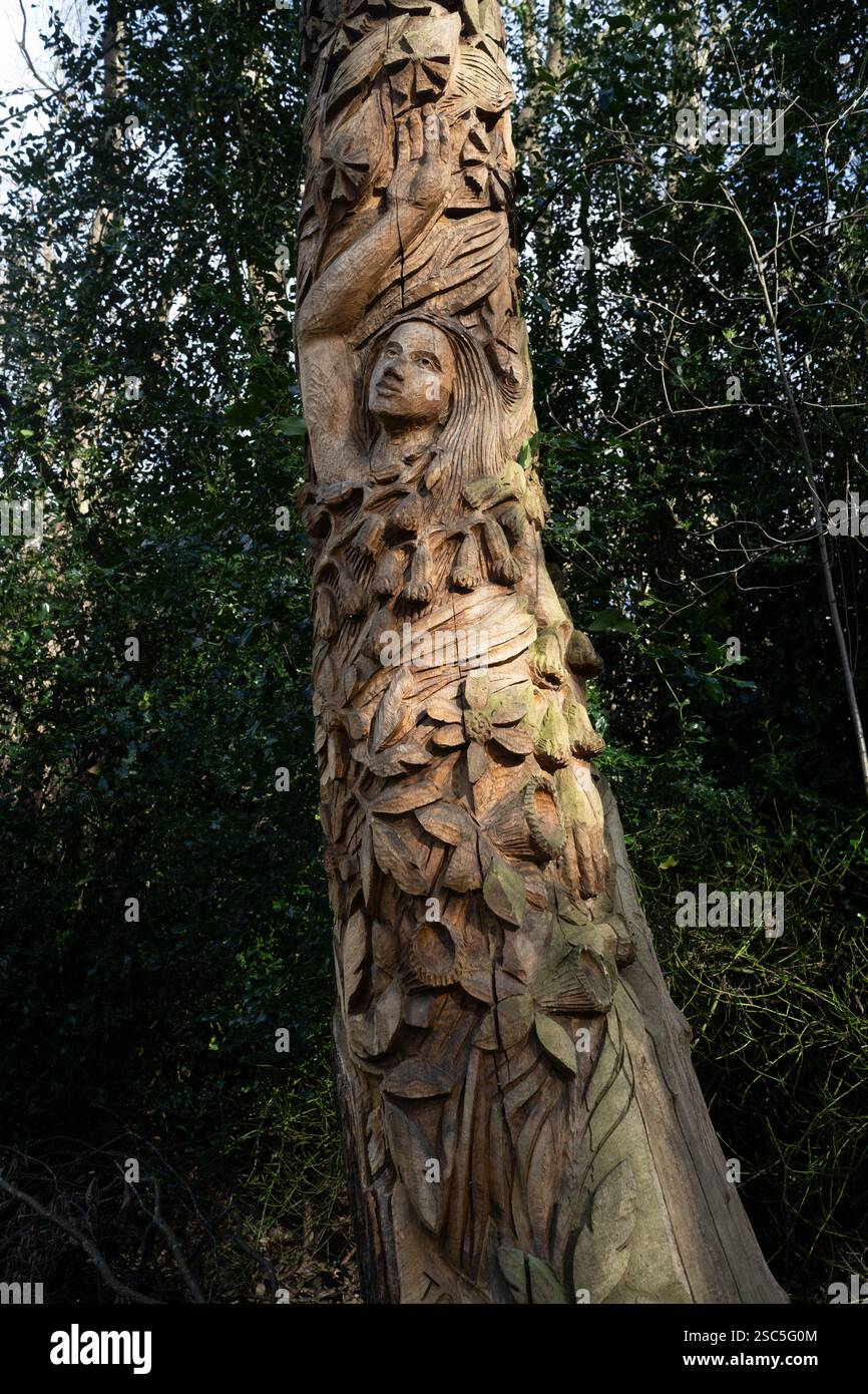 Carved wooden sculpture of a woman, in the trees of Richmond Park ...