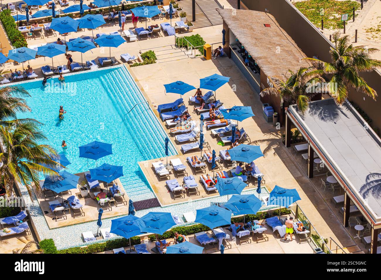 Resort guests sunbathing on lounge chairs by swimming pool with blue ...