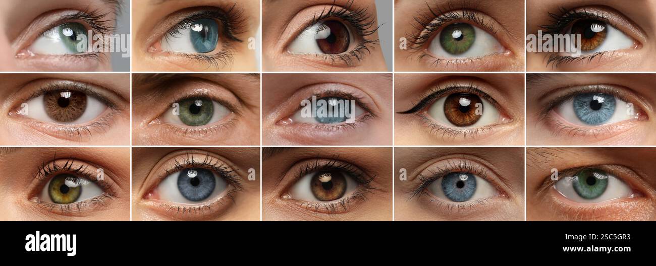 People with eyes of different colors, collage of photos Stock Photo - Alamy