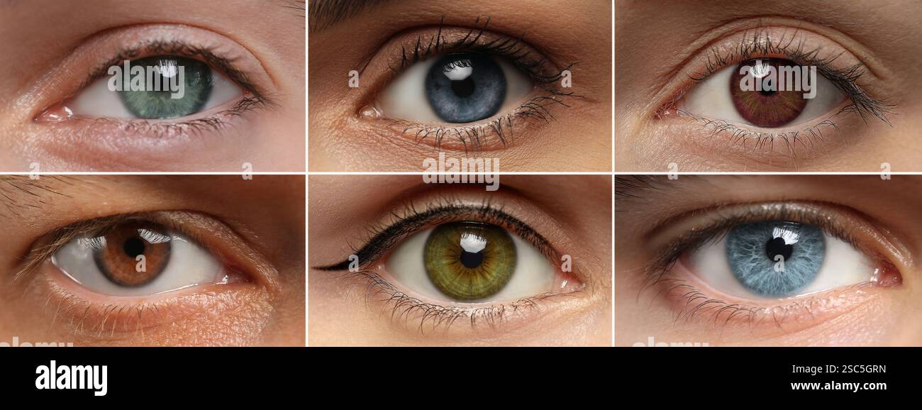 People with eyes of different colors, collage of photos Stock Photo - Alamy