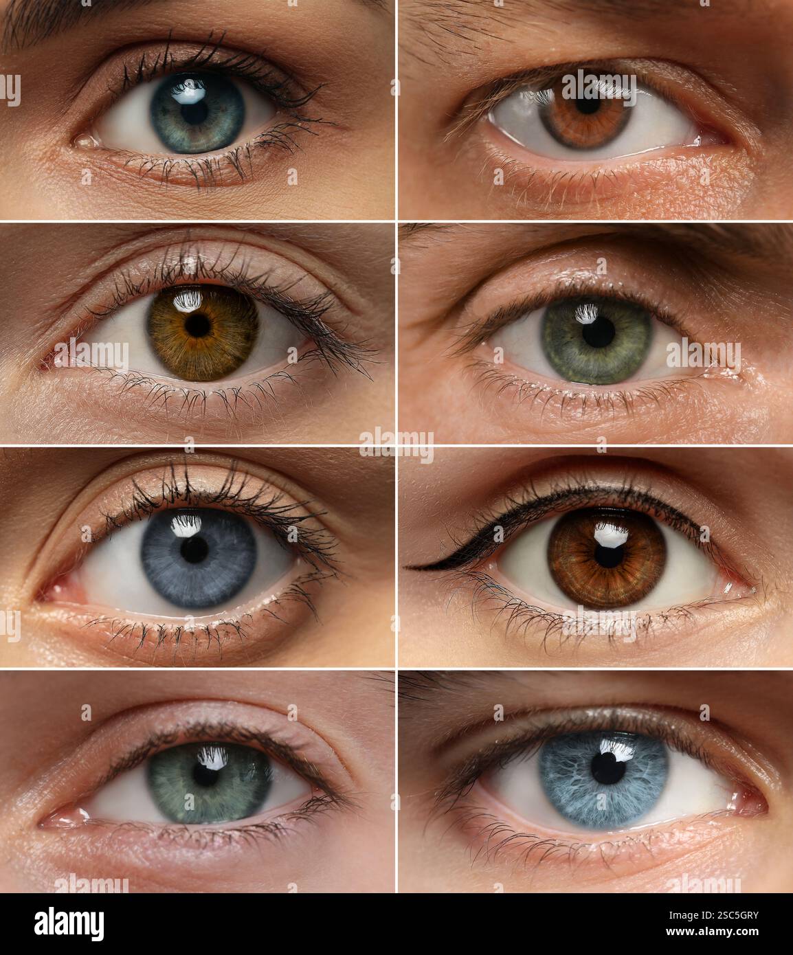 Different eye colors human hi-res stock photography and images - Alamy