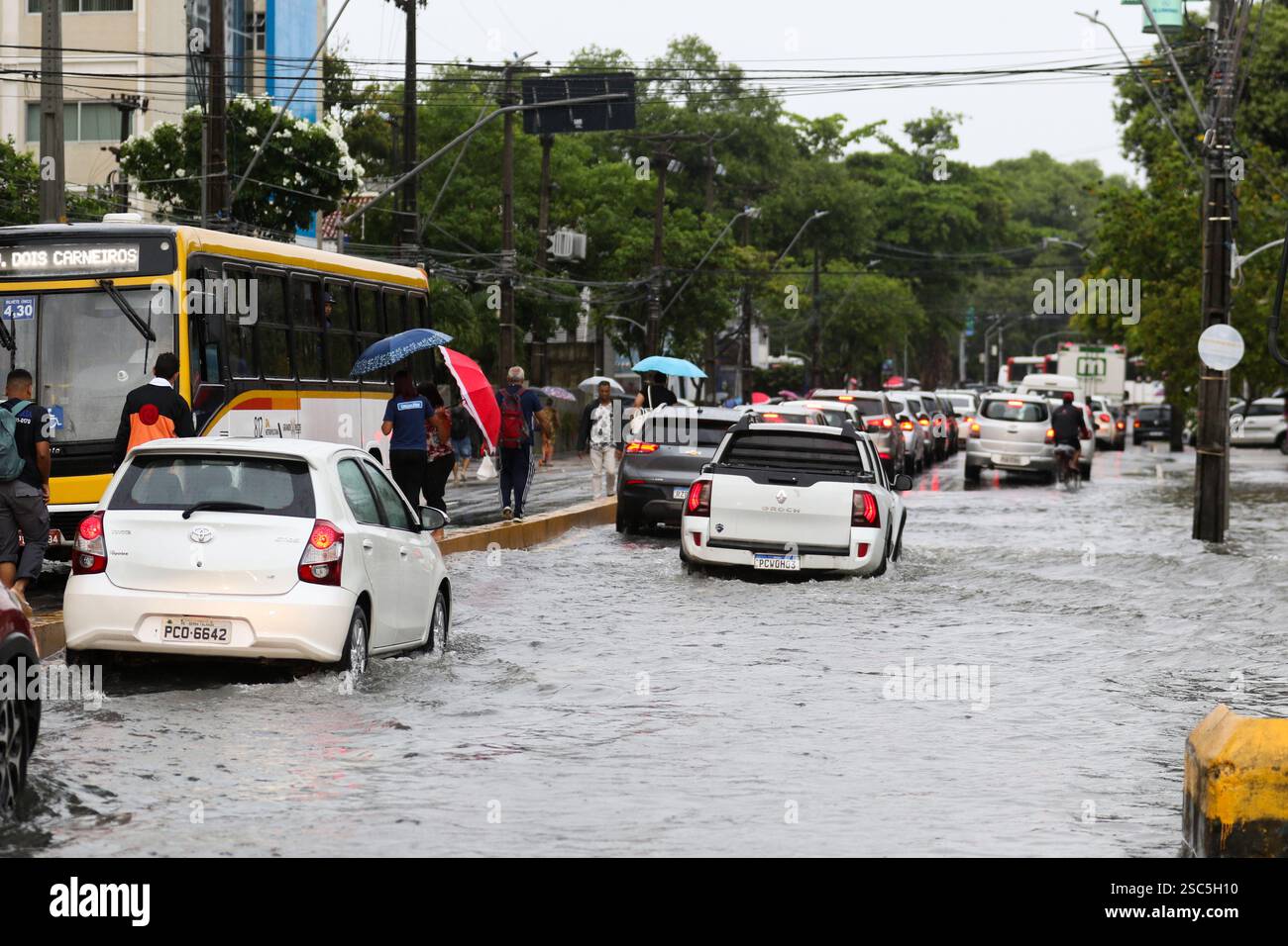 PE - RECIFE - 02/05/2025 - RECIFE, RAIN - Pedestrians protect ...